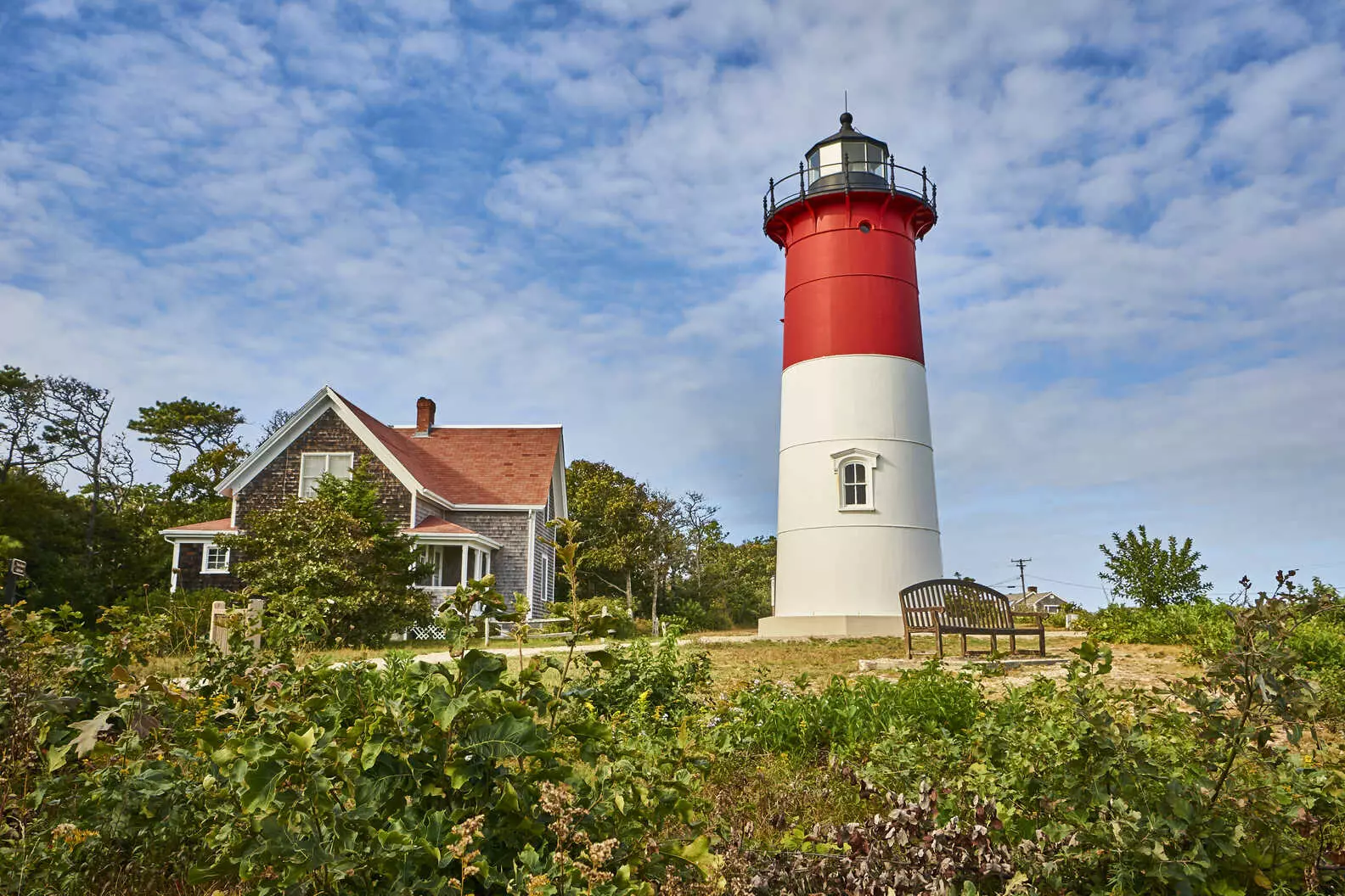 Kudo që duhet të ndaloni përgjatë autostradës Mid-Cape të Massachusetts 4968_6