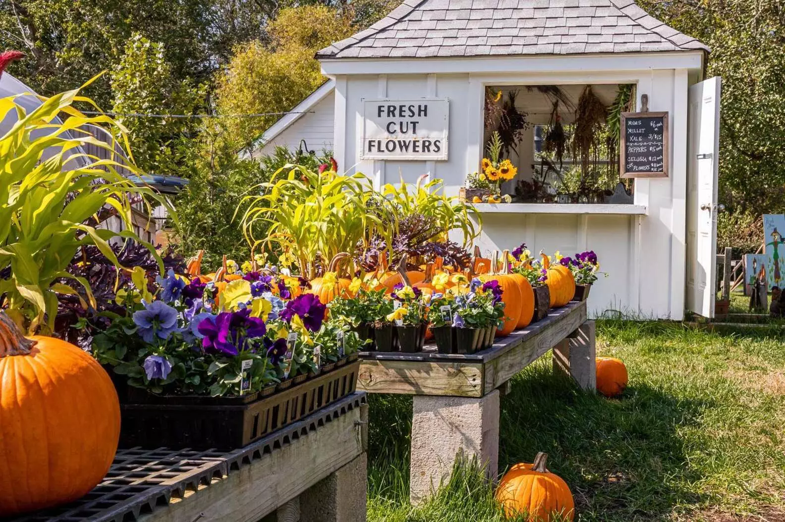 Beach Plum Farm, NJ : faites le week-end Cottagecore de vos rêves 4977_4