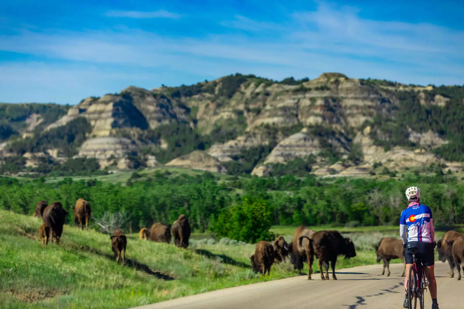 Theodore Roosevelt National Park Guide: Amérika urang paling overlooked Park 4981_2