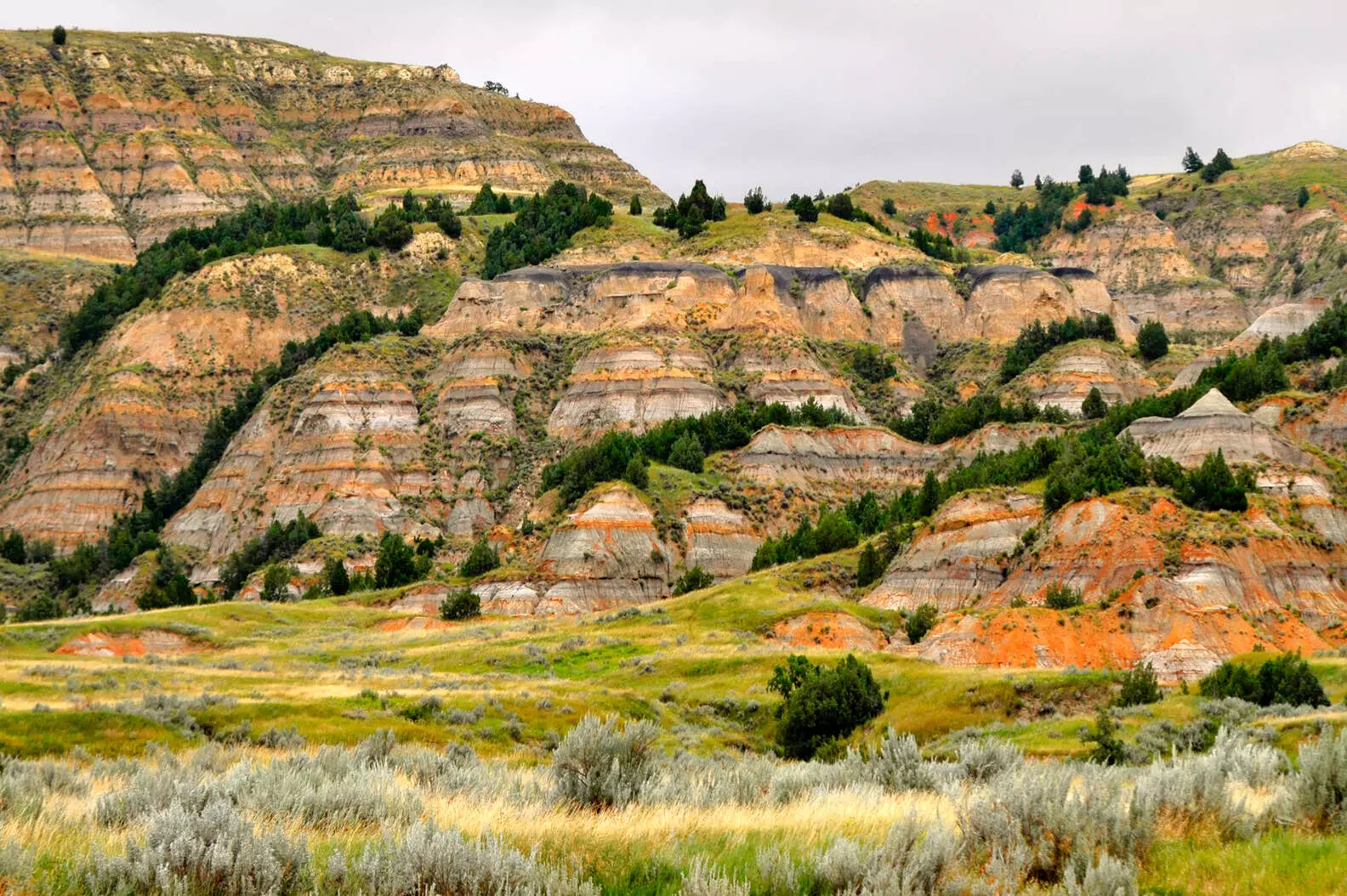 Theodore Roosevelt National Park Guide: Sebaka sa Amerika se hlokomolohuoang ka ho Fetisisa 4981_4