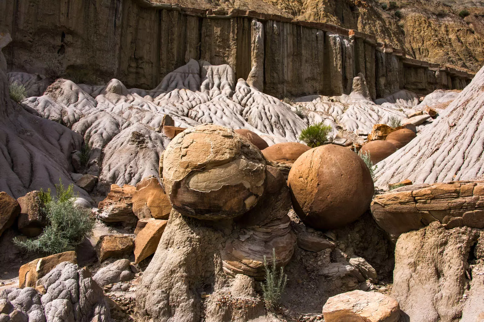 Theodore Roosevelt National Park Guide: Amérika urang paling overlooked Park 4981_5