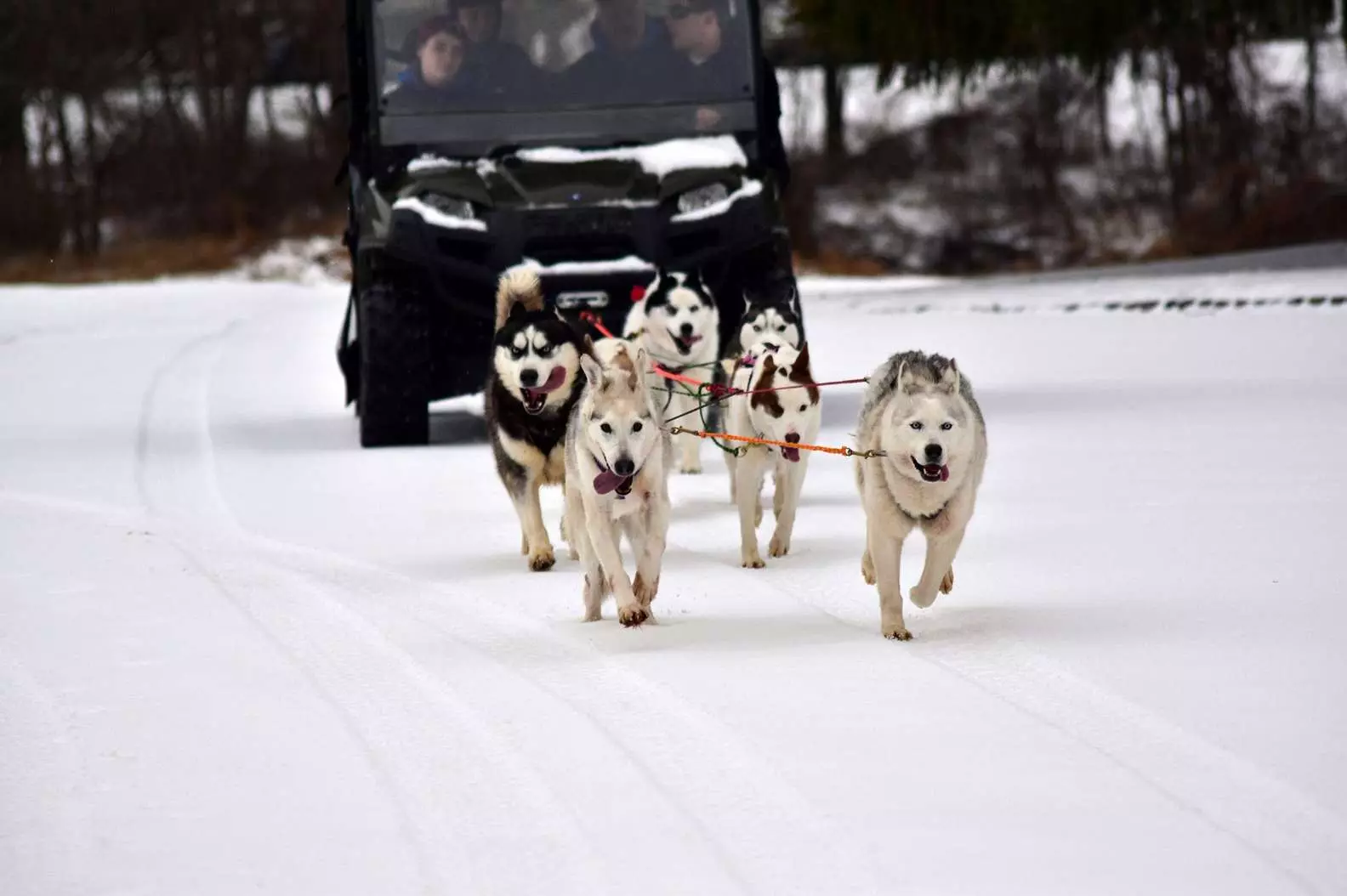 Gjërat për të bërë në Poconos tani: Shkoni në shpatet, fabrikat e birrës dhe më shumë 4982_9