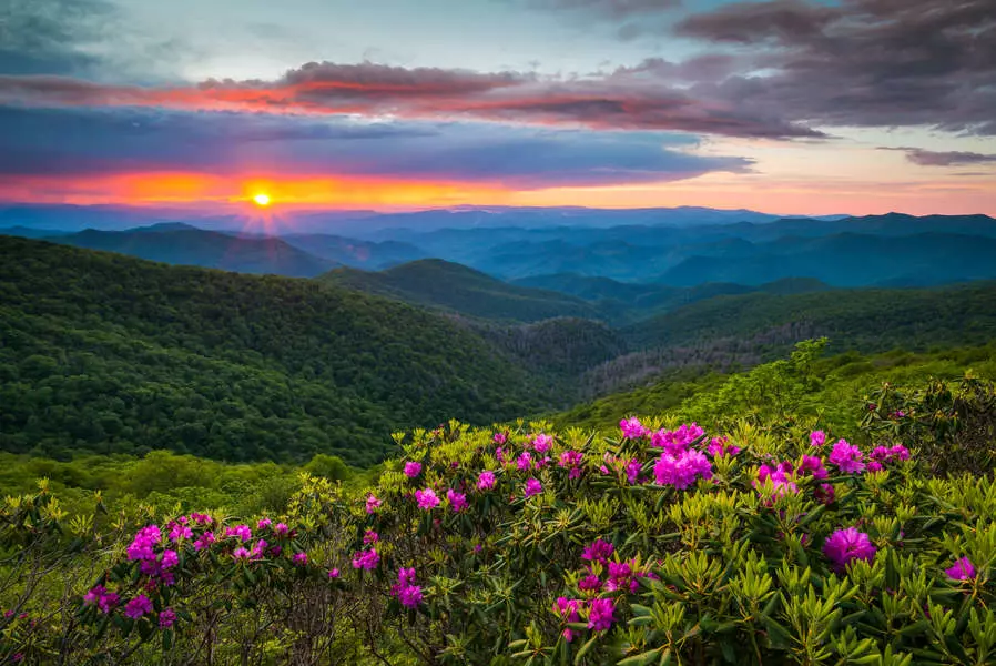 National Park Service julkistaa Amerikan suosituimmat puistot