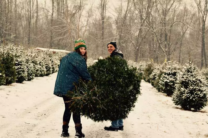 Ferme d'arbres de Noël