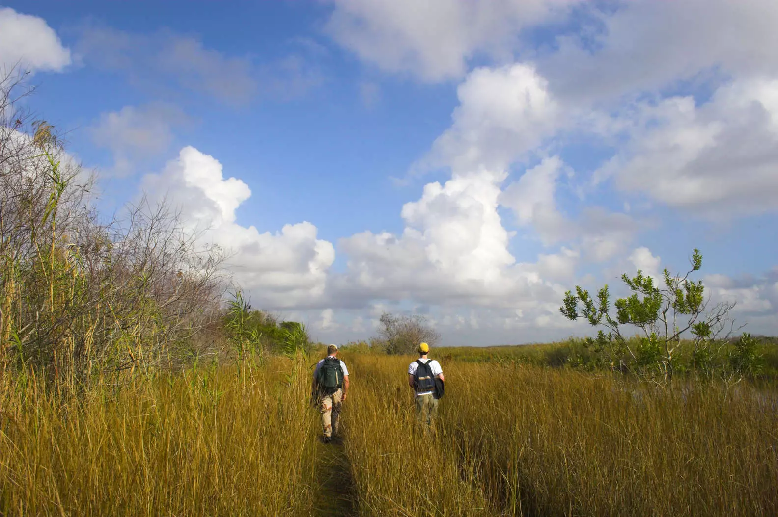 23 herfstdate-ideeën in Miami: leuke en romantische date-avondactiviteiten 562_15