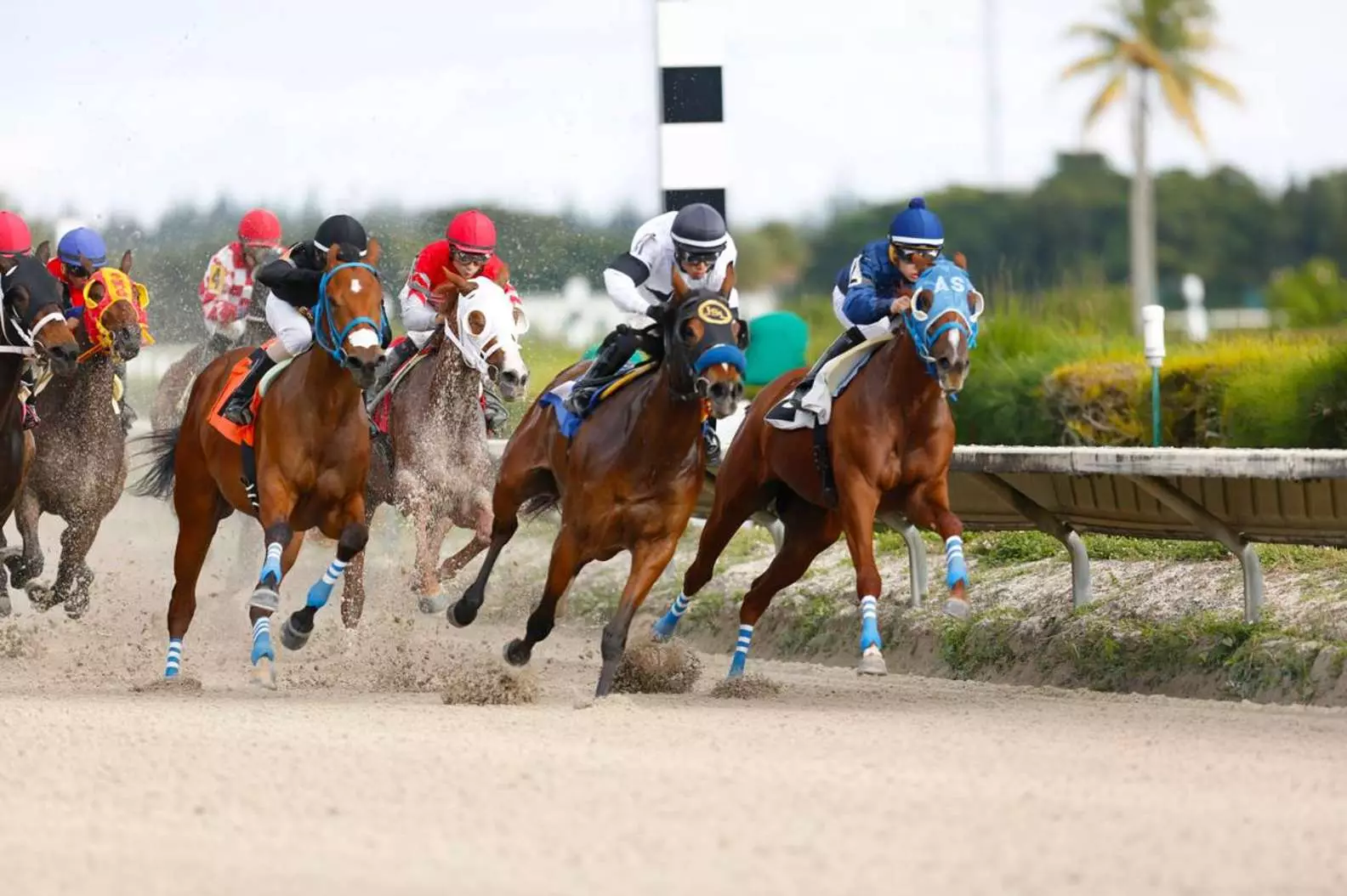 23 ideas para citas de otoño en Miami: actividades nocturnas divertidas y románticas 562_16