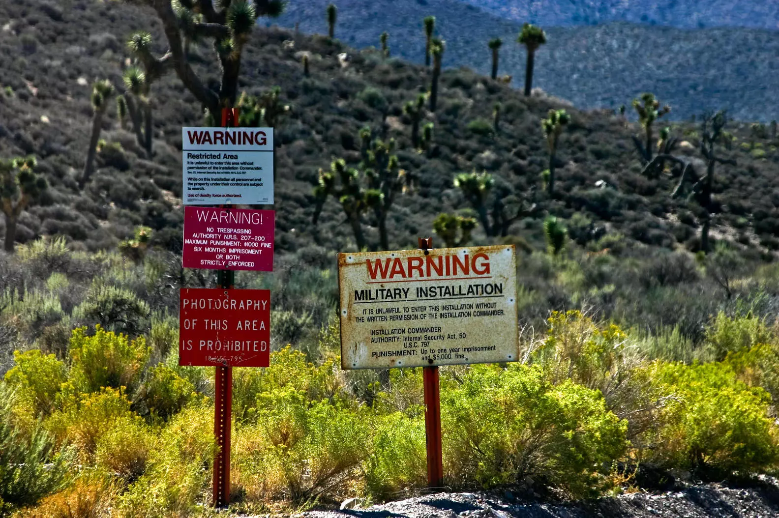 Was ist in Area 51? Ein Leitfaden für Touren, Hotels und Aktivitäten bei einem Besuch 681_1