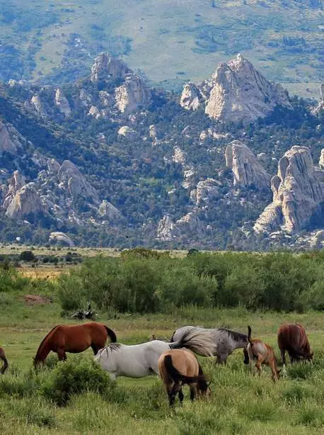 Čo robiť v Idahu: Boise, McCall, Wallace, Island Park a ďalšie 840_8