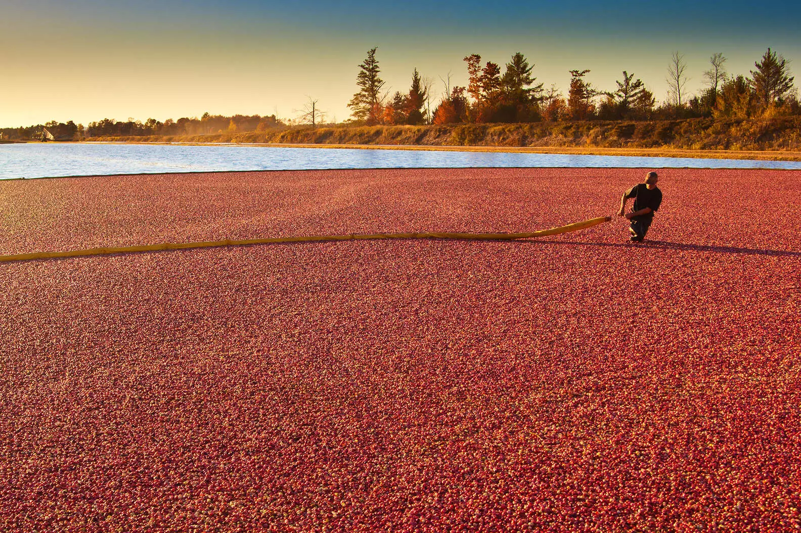 Saachen zu Wisconsin ze maachen: Bescht Natur Flucht, Stied a Méi 841_7