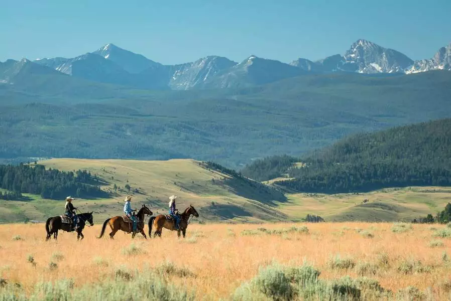 Zvekuita muMissoula, Montana: Gwaro Rekufamba kuenda kuZootown USA