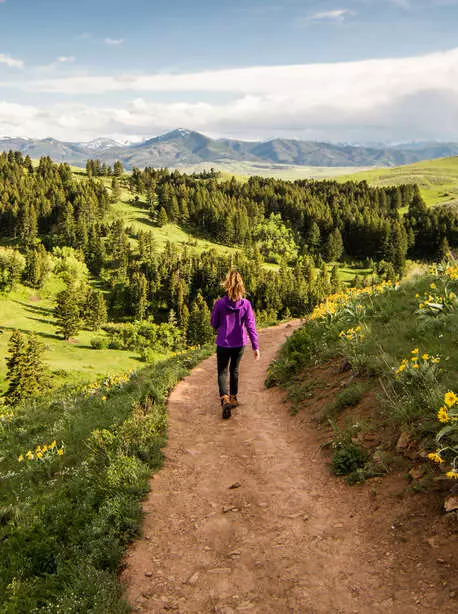 เยี่ยมชมหมู่เกาะที่สวยงามของ Flathead Lake 858_6