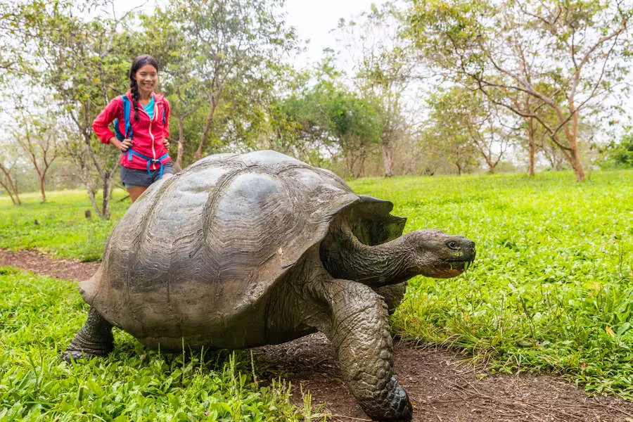 Zvinhu Zvekuita muGalapagos Islands: Chii Chakavhurika & Kwekupi Kwekuongorora