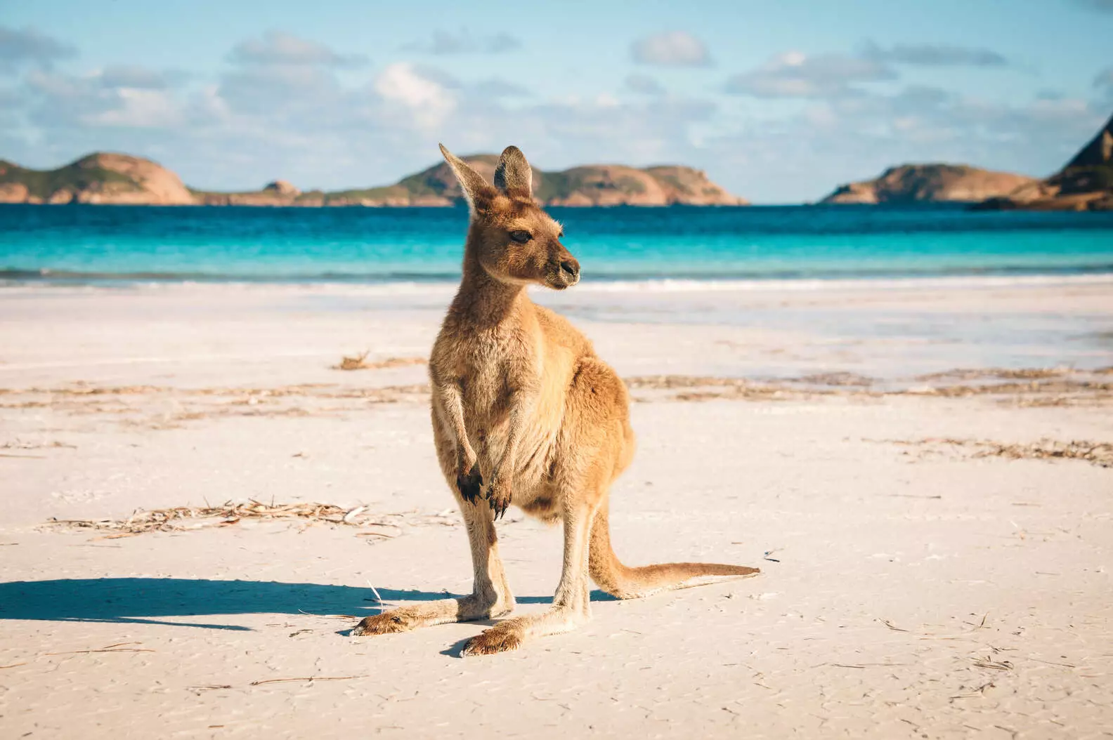 Melhores praias do mundo: 20 praias mais bonitas do mundo 869_20