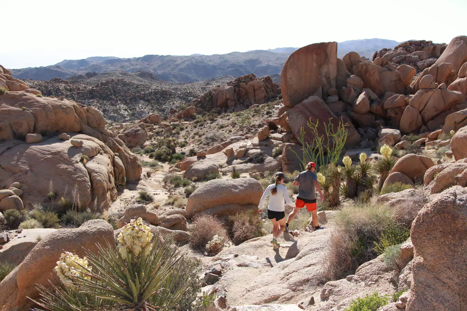 Joshua Tree Nasionale Park Reisgids: Kampeer, staptogte en doendinge 873_4