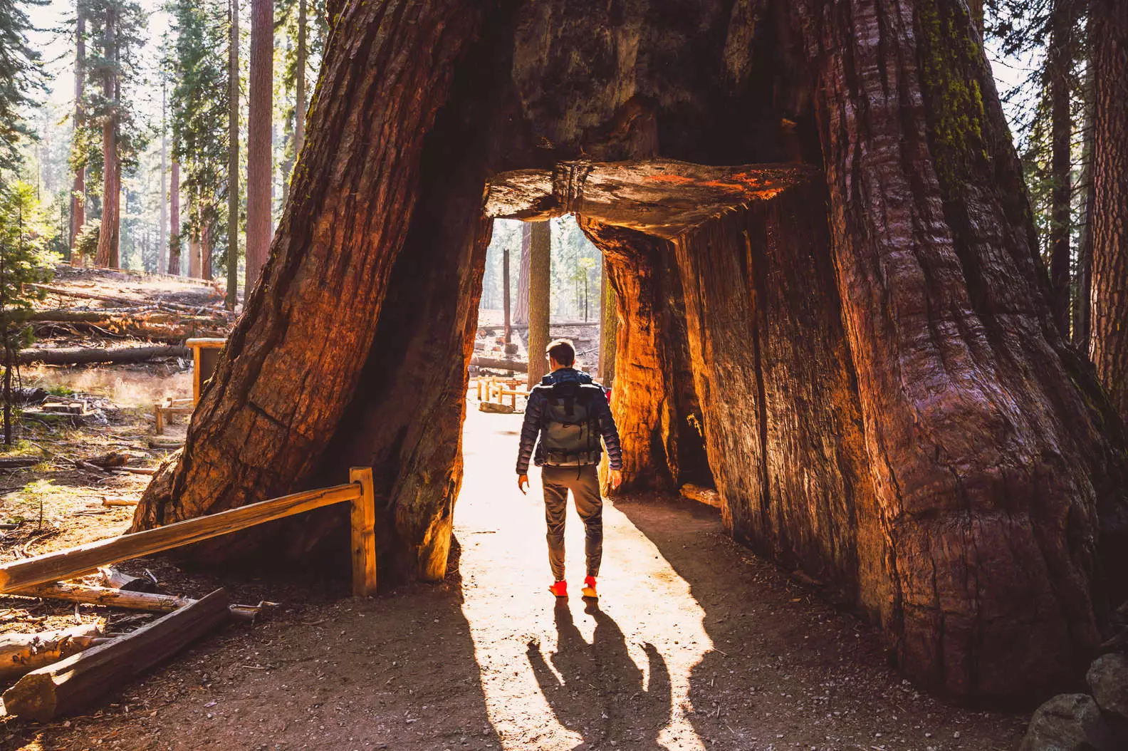 Nejkrásnější místa v Yosemitském národním parku: Half Dome a další 888_2