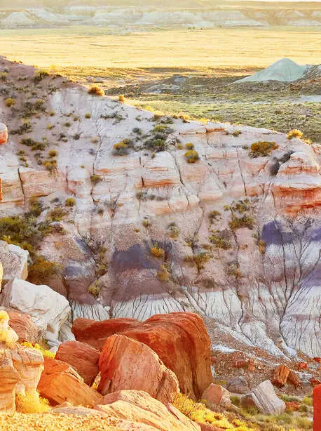 Gvidilo pri Nacia Monumento de Vermilion Cliffs: La Ondo, Blanka Poŝo kaj Pli 898_1