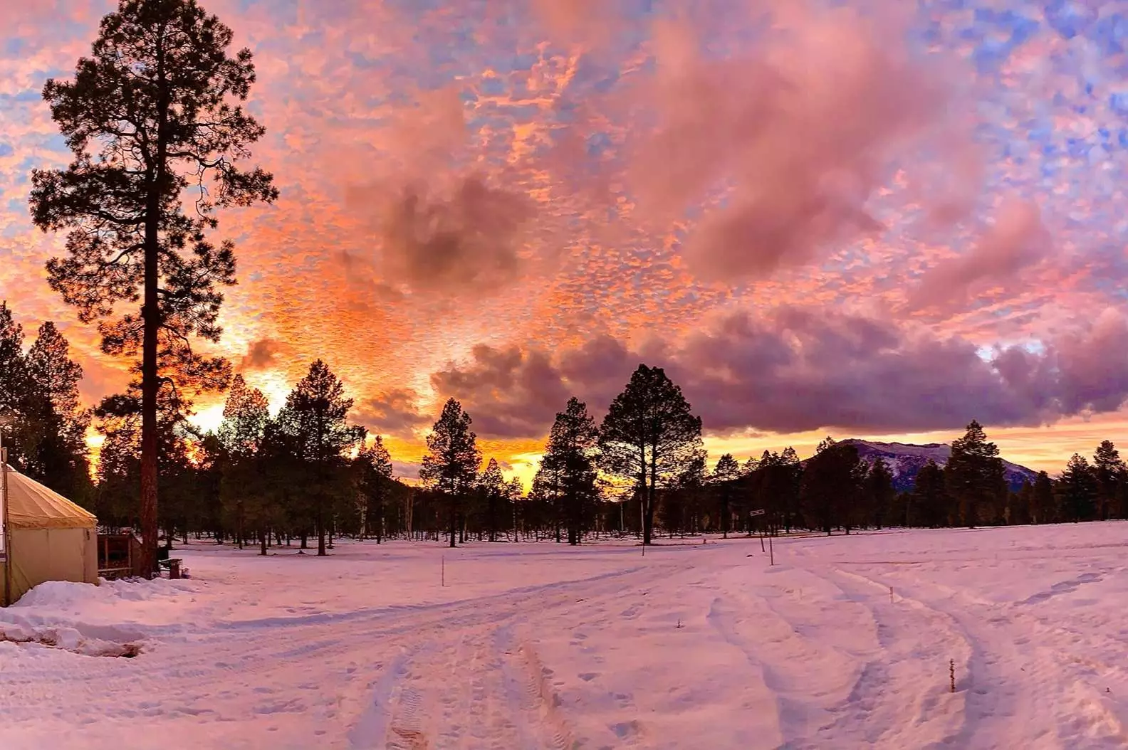 Choses à faire à Flagstaff, Arizona : où manger, boire, visiter et plus encore 906_6